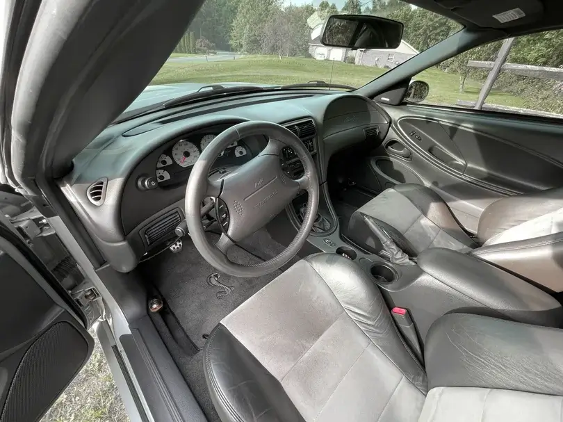 2004 cobra interior