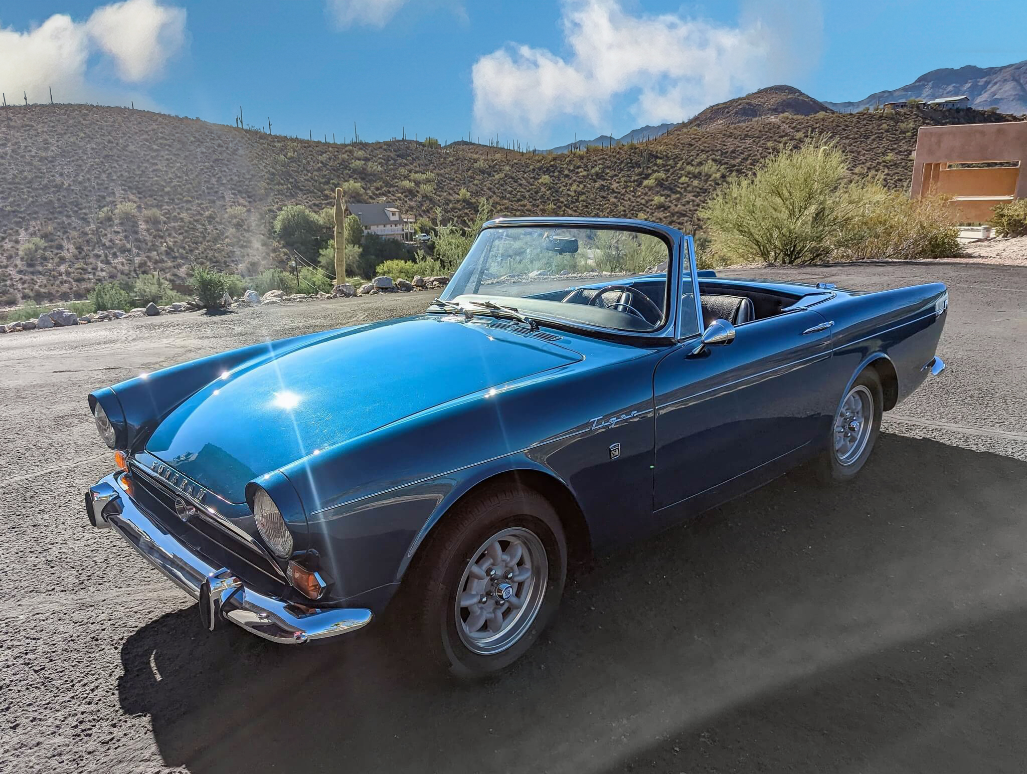 sunbeam tiger color codes