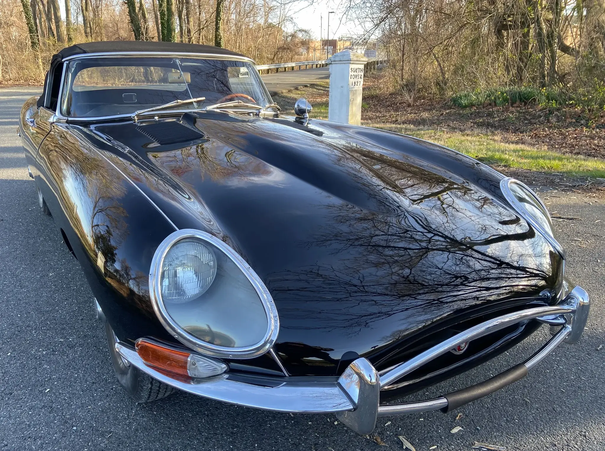 black jaguar e type