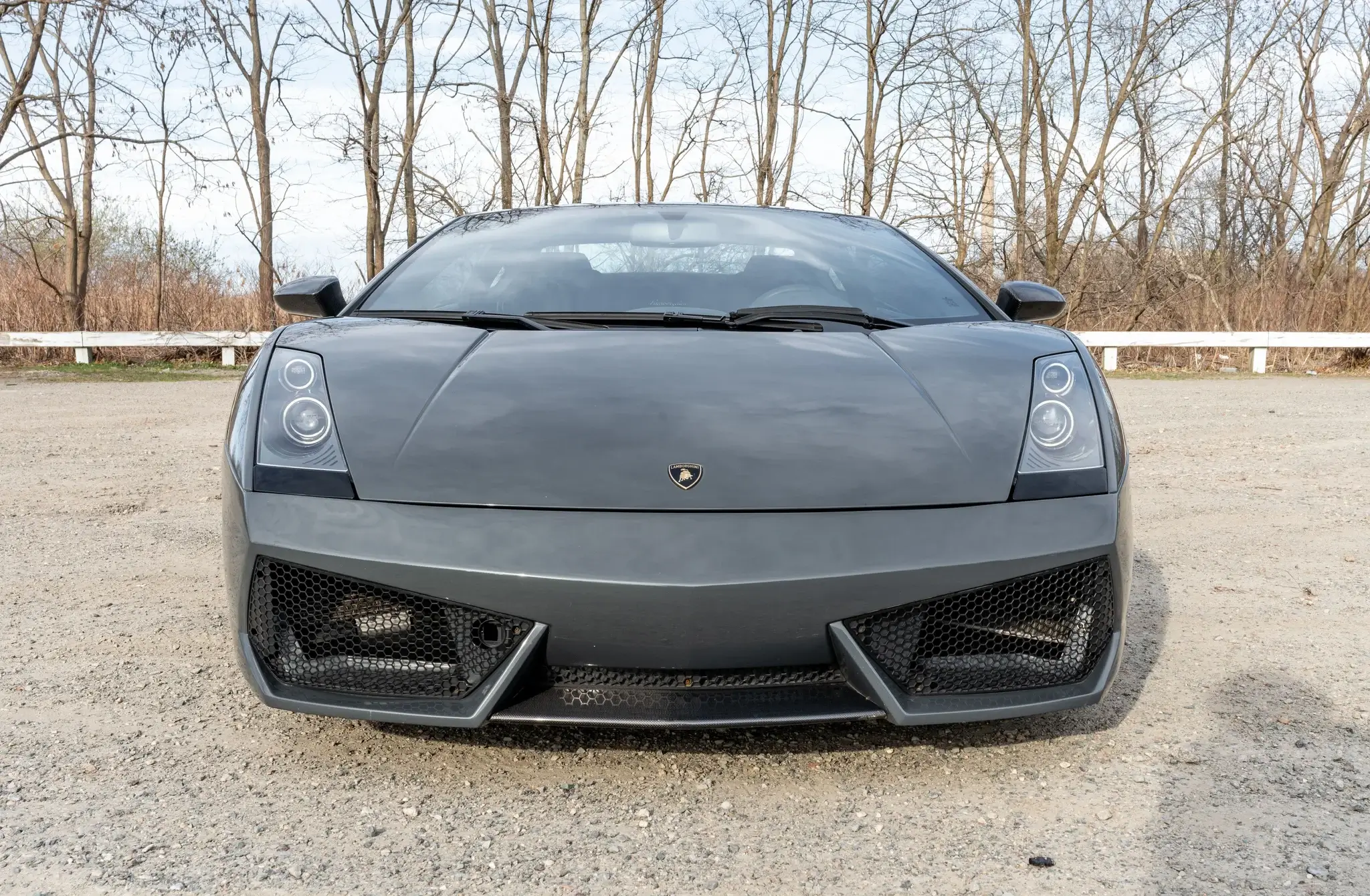 gallardo grey