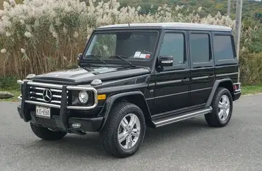 2010 g550