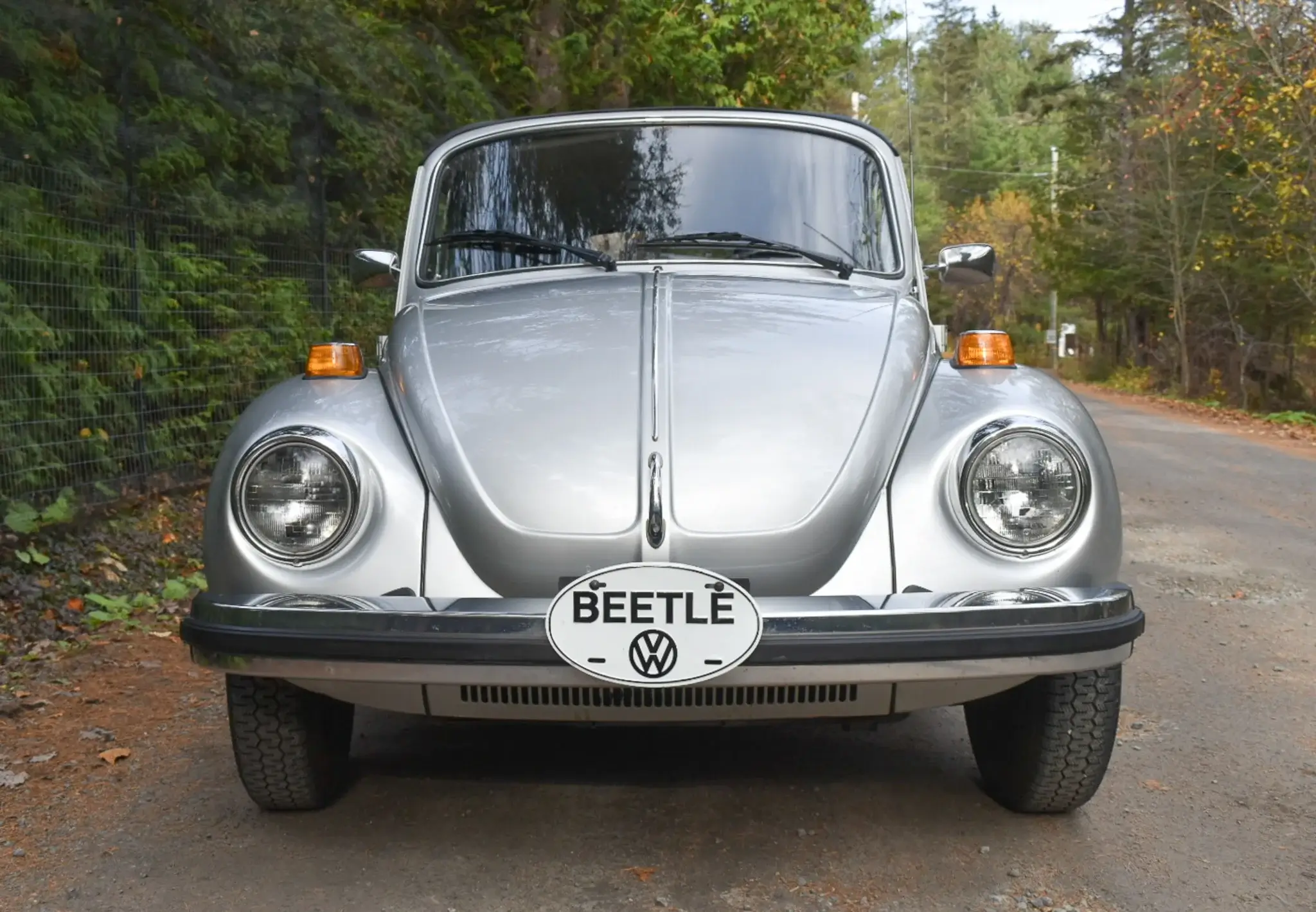 1979 super beetle