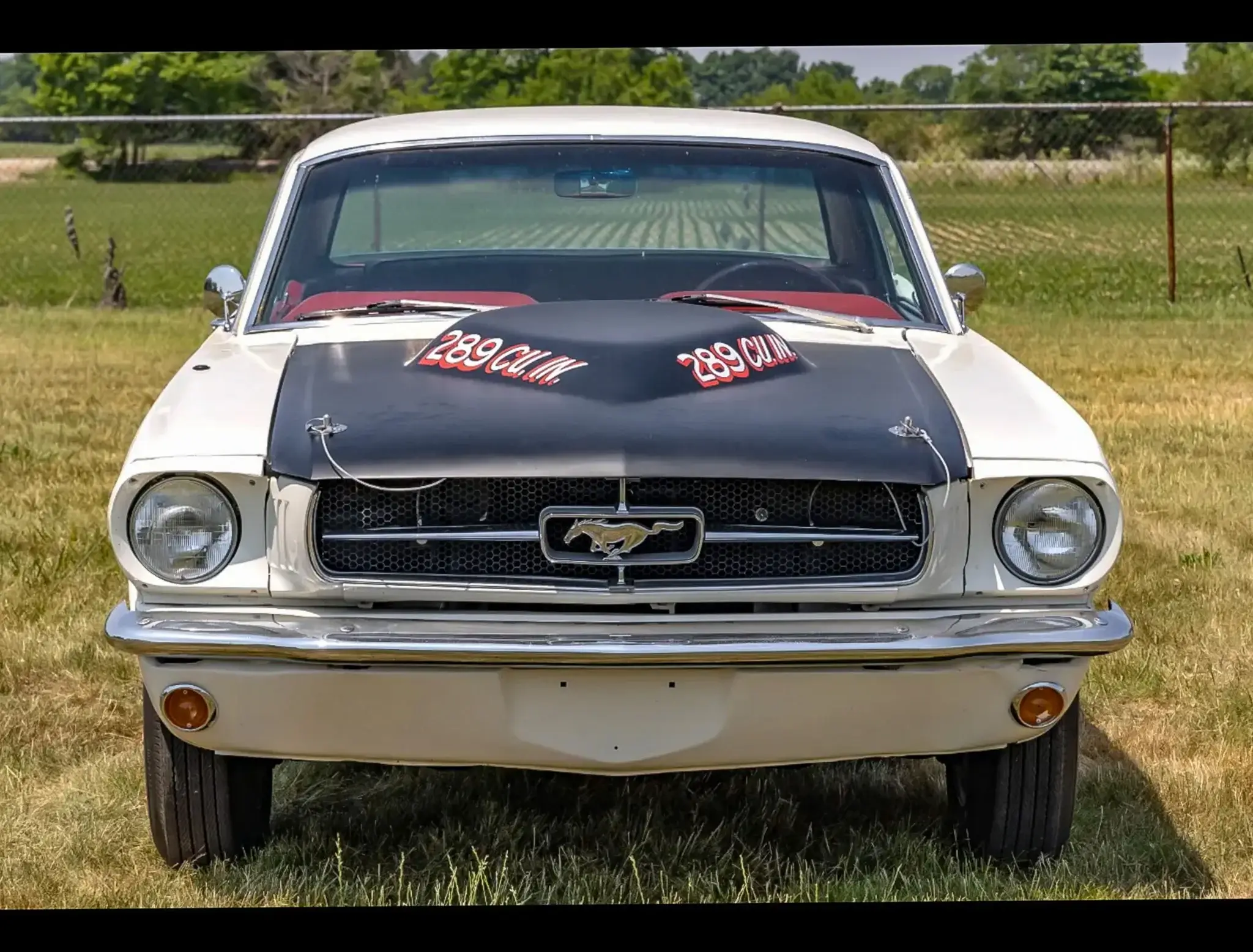 1965 Ford Mustang | PCARMARKET