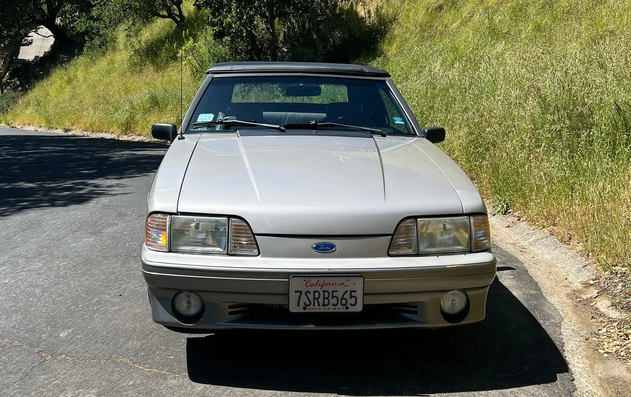 1990s mustang