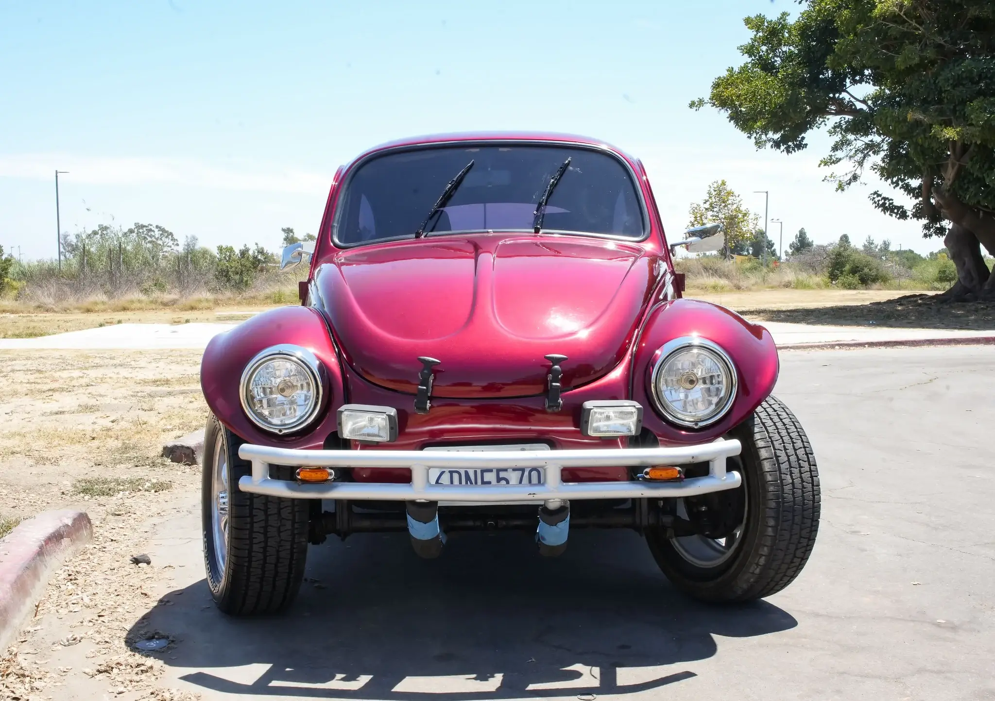 baja bug eye